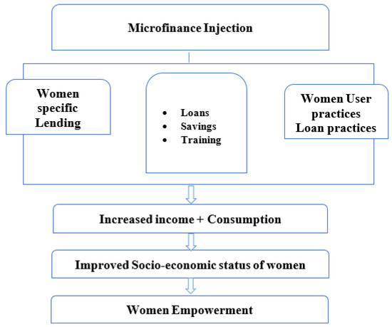 Microfinance Facility for Rural Women Entrepreneurs in Pakistan: An ...