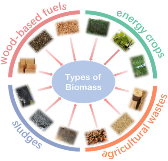 Carbon Footprint Analysis for Biomass-Fueled Combined Heat and Power ...