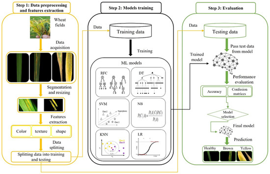 Automated Wheat Diseases Classification Framework Using Advanced ...