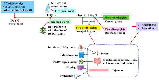 Proteomic and Metabolomic Profiling Elucidate the Impact of PEDV on ...