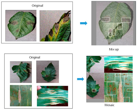 APEIOU Integration for Enhanced YOLOV7: Achieving Efficient Plant ...