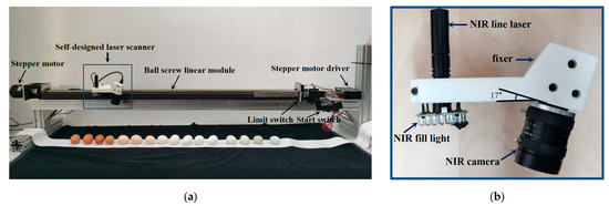 FEgg3D: A Non-Contact and Dynamic Measuring Device for Egg Shape ...