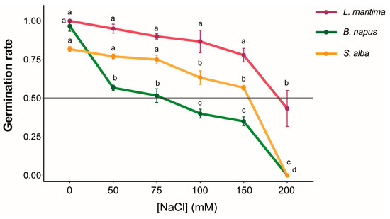 Seed Inoculation with Halotolerant Strains Enhance Brassicaceae ...