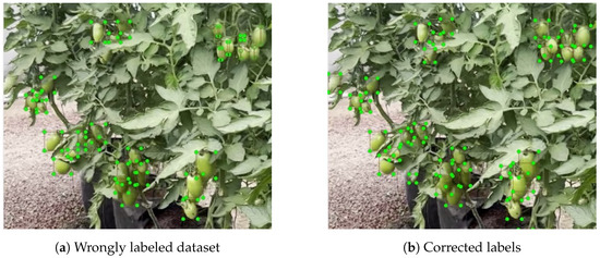 Automatic Correction of Labeling Errors Applied to Tomato Detection