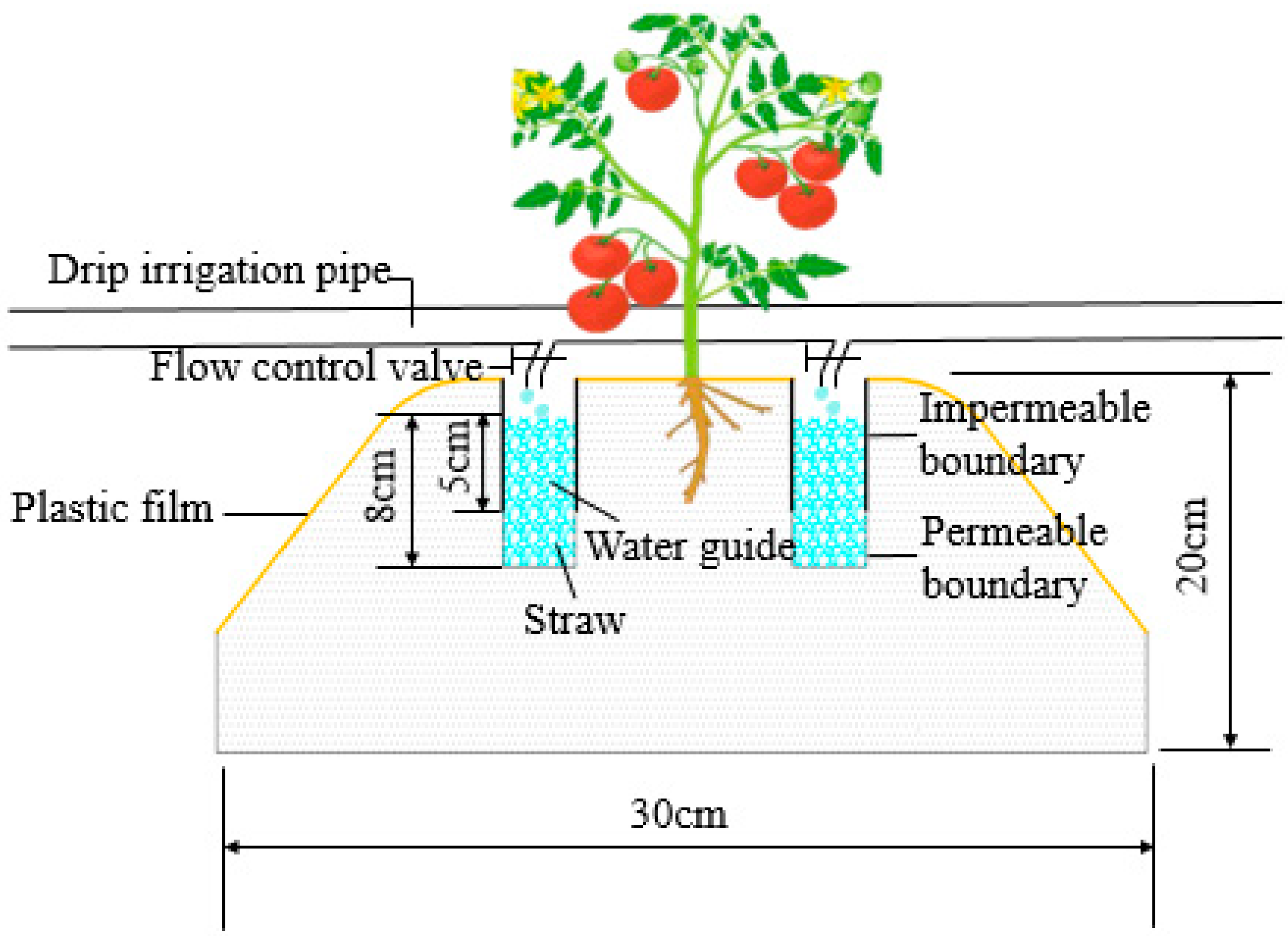 Responses of Tomato Growth and Soil Environment Properties to ...