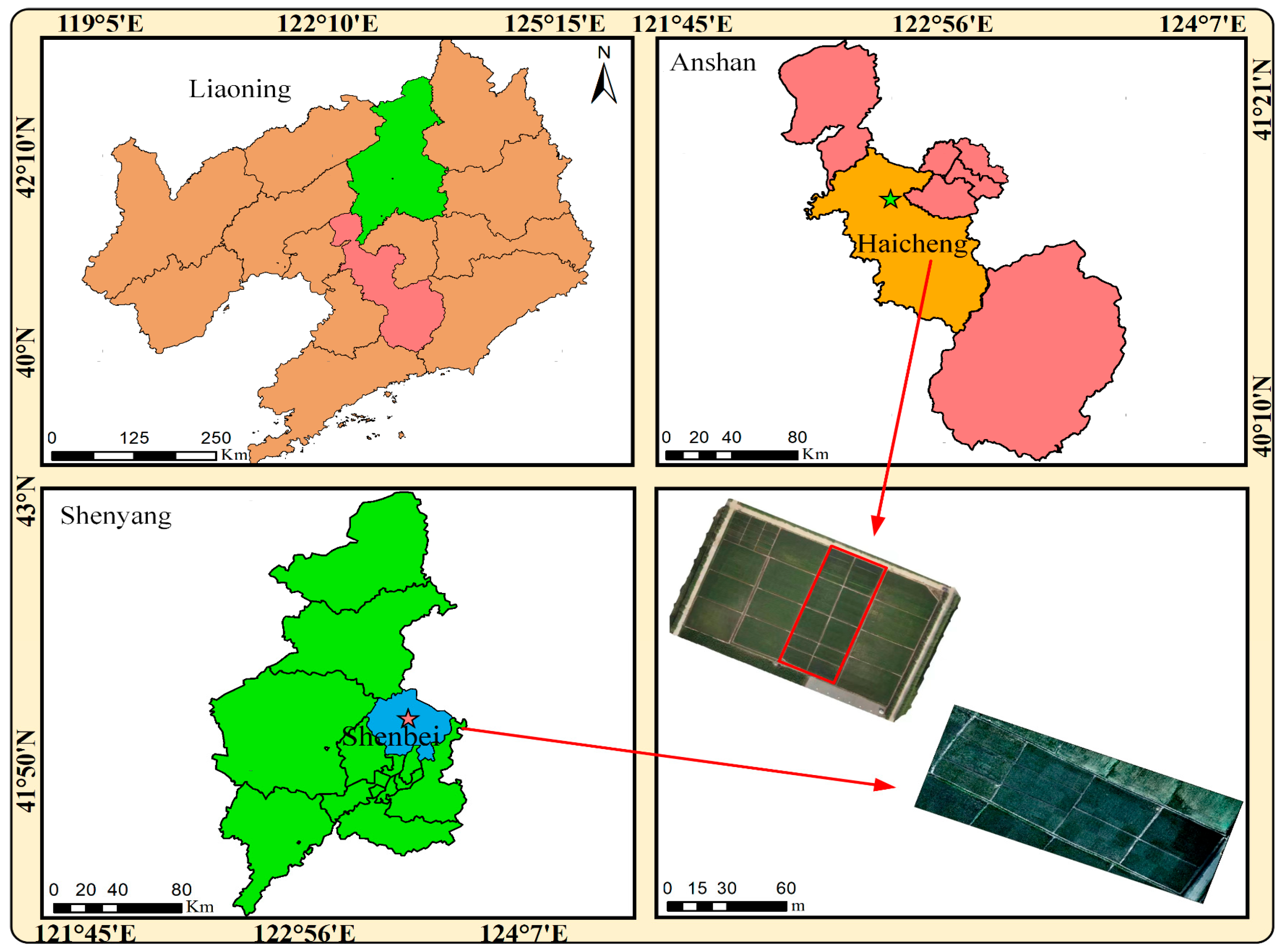 Hyperspectral Imaging Combined with a Dual-Channel Feature Fusion Model ...
