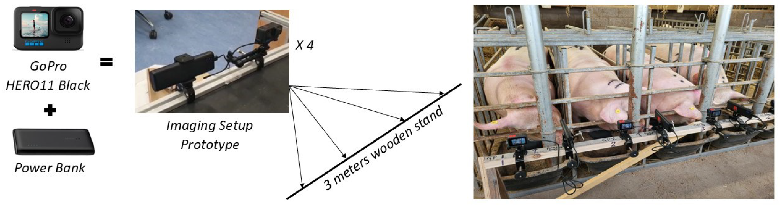 Enhanced Deep Learning for Robust Stress Classification in Sows from ...