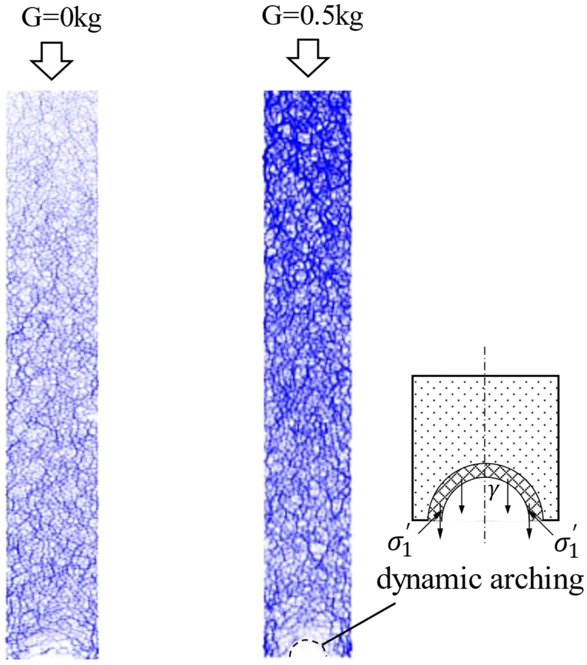 Discharge Dynamics Responses in Forced Granular Flow of Rice Particle Beds