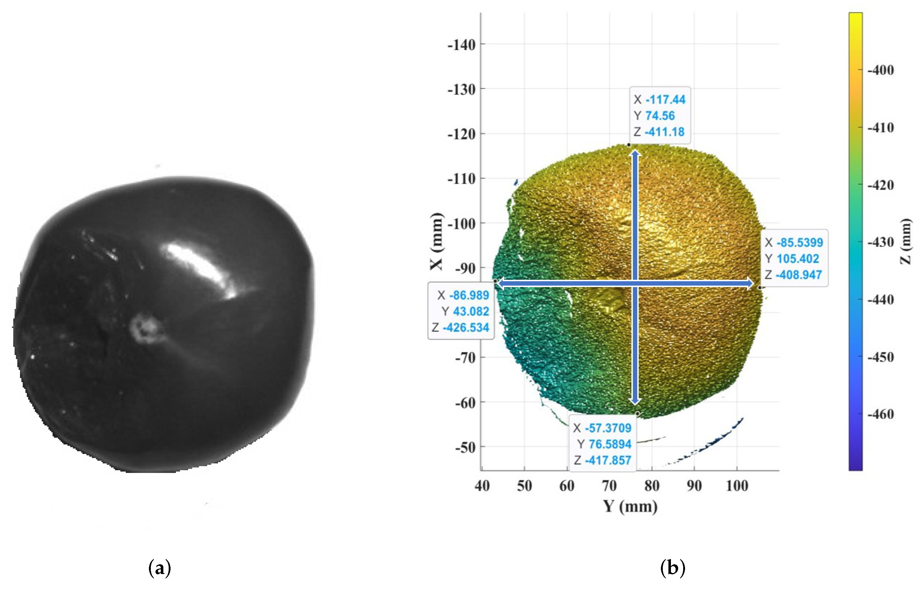 Four-Dimensional Hyperspectral Imaging for Fruit and Vegetable Grading