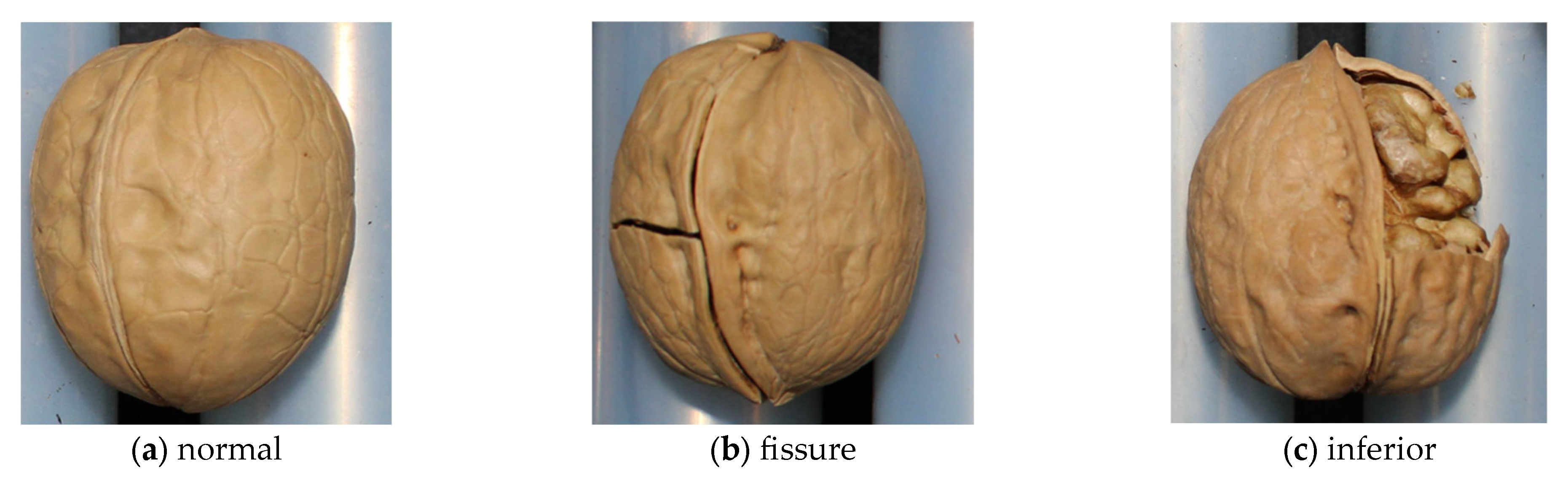 Walnut Surface Defect Classification and Detection Model Based on ...
