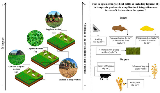 Animal Supplementation and Legume Pastures Enhance Nitrogen Balance and ...