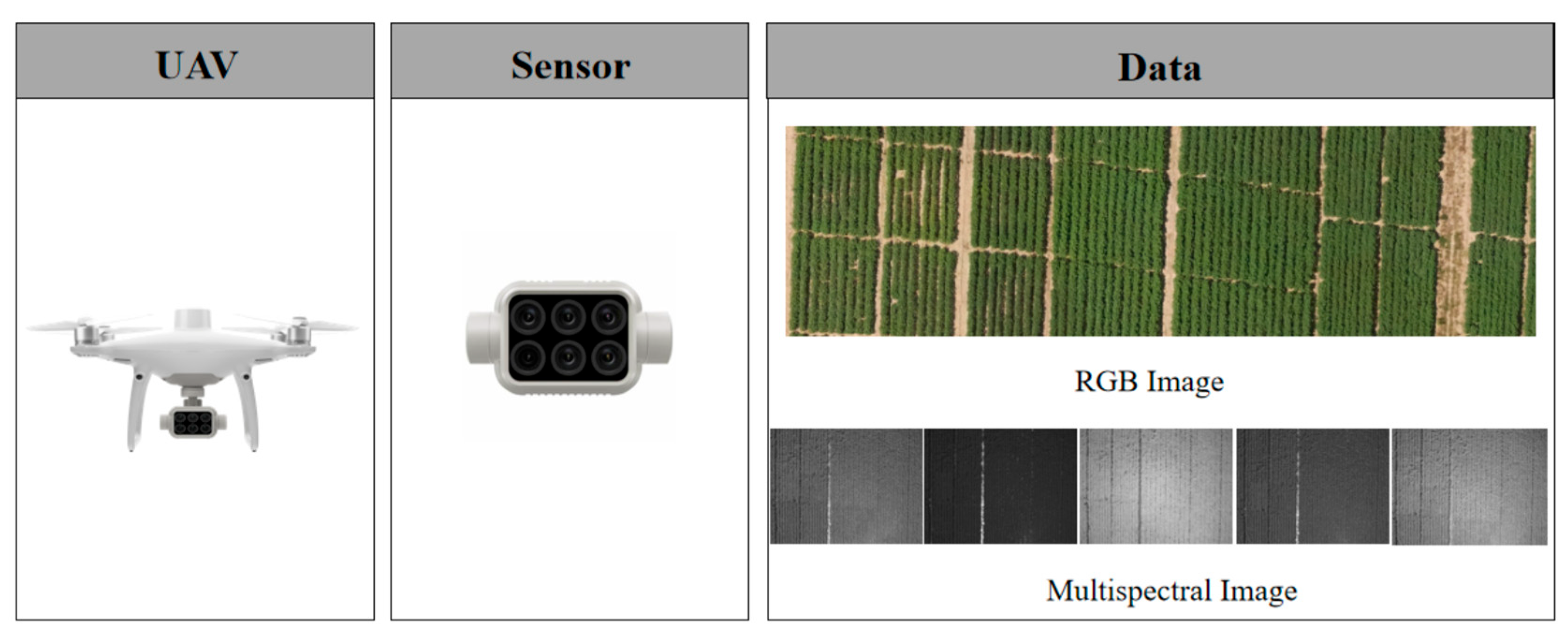 Improved Estimation of Cotton Aboveground Biomass Using a New Developed ...