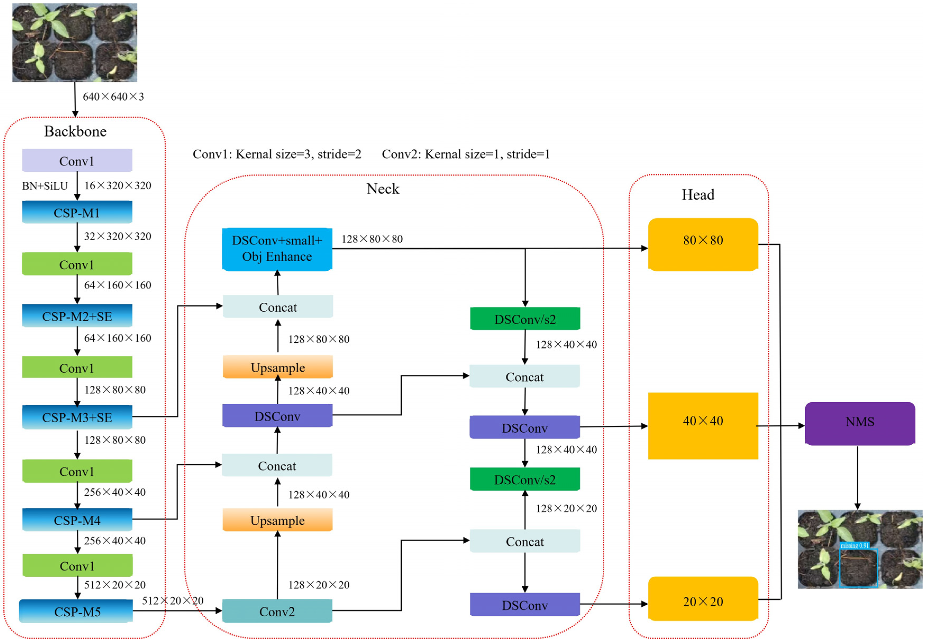 Light-YOLO-Pepper: A Lightweight Model for Detecting Missing Seedlings