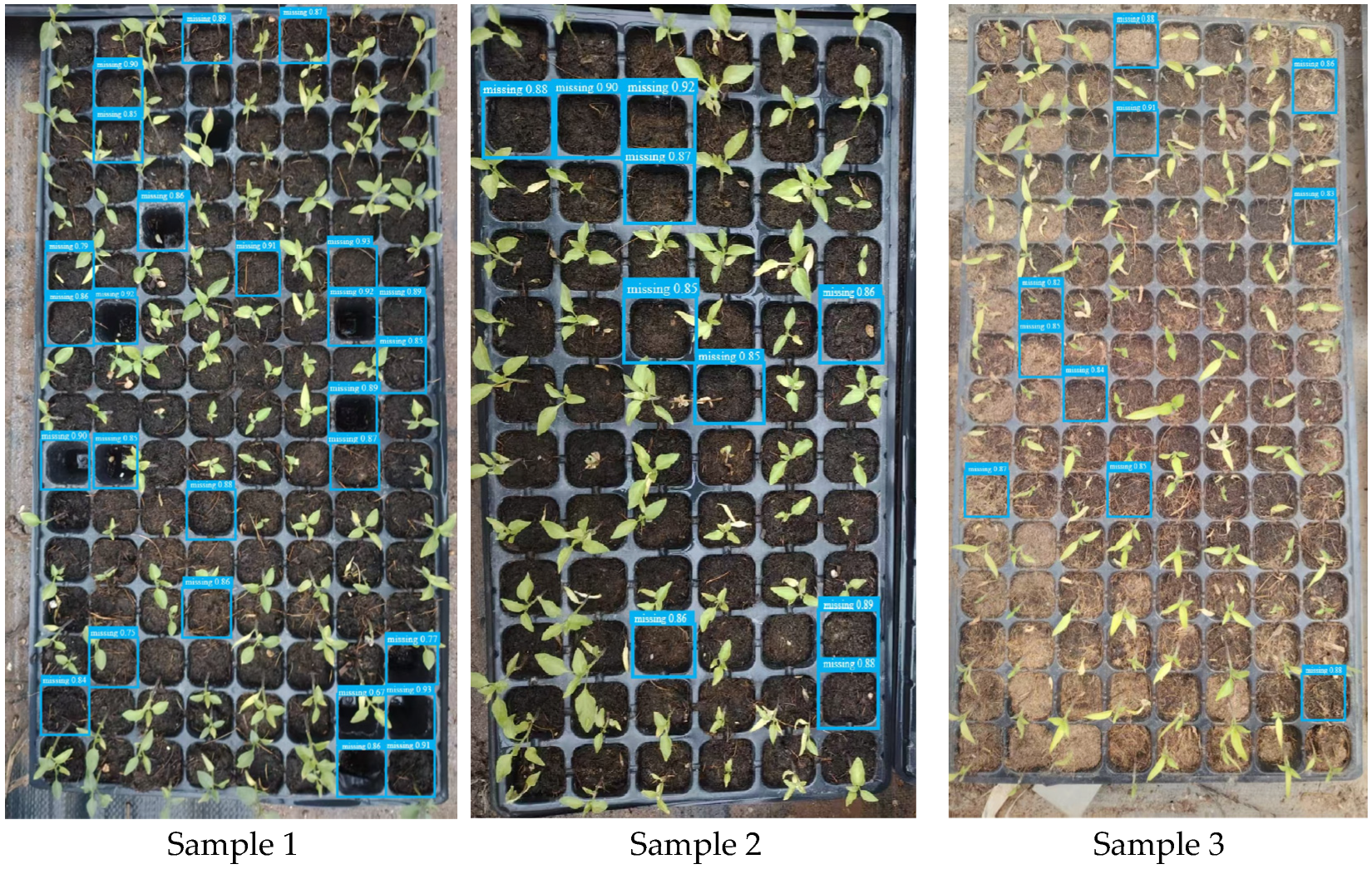 Light-YOLO-Pepper: A Lightweight Model for Detecting Missing Seedlings
