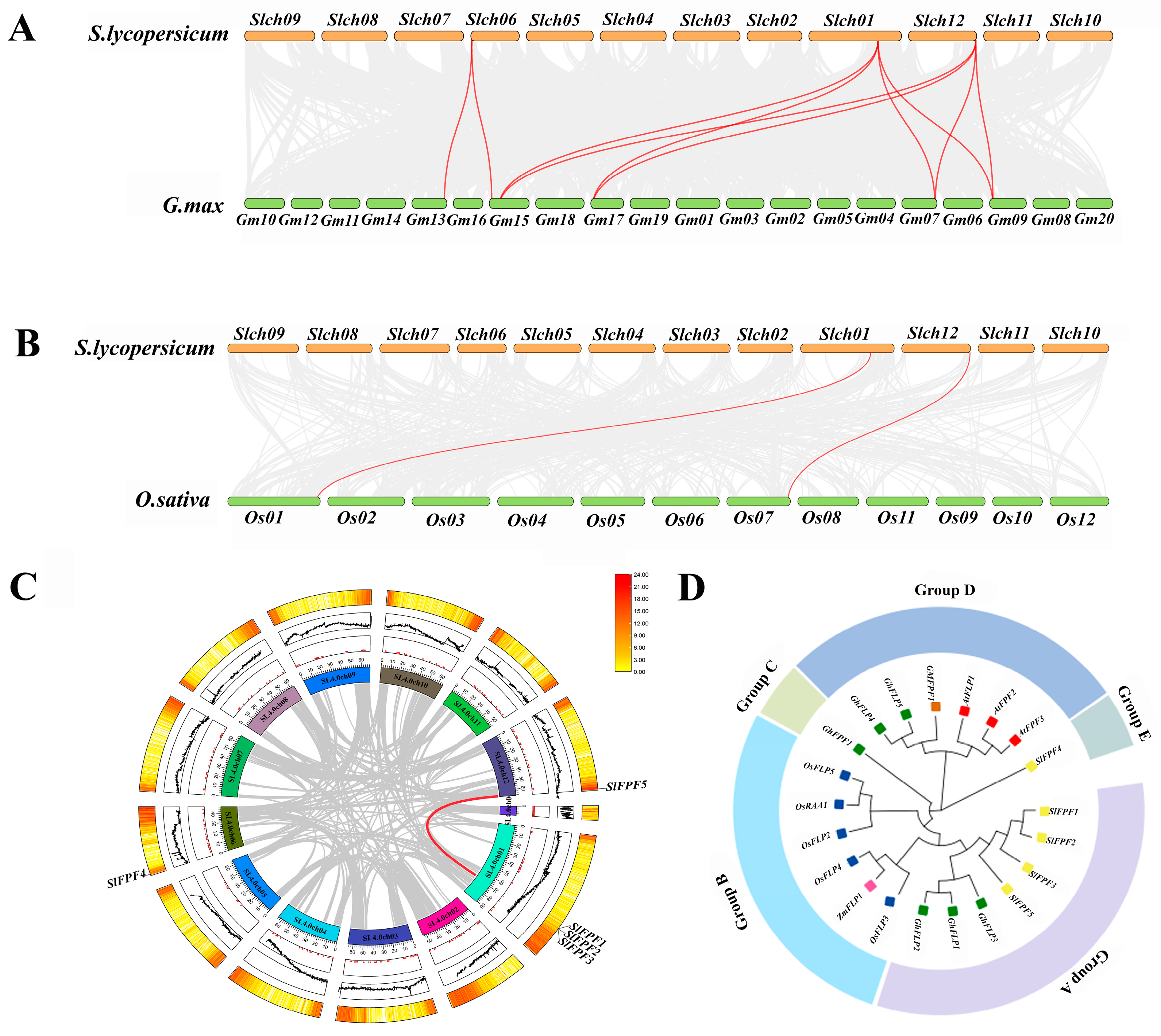 The FPF Gene Family in Tomato: Genome-Wide Identification and the Role ...