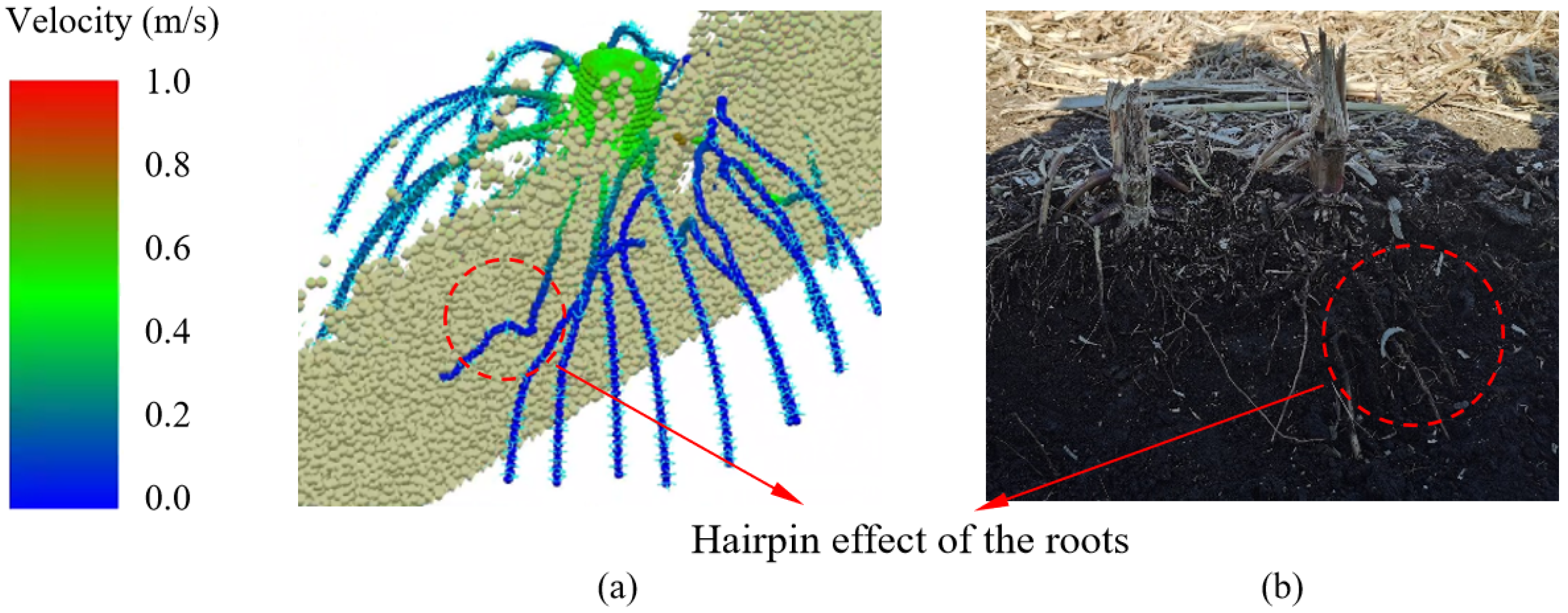 A Study on the Interaction Mechanism Between Disc Coulters and Maize ...