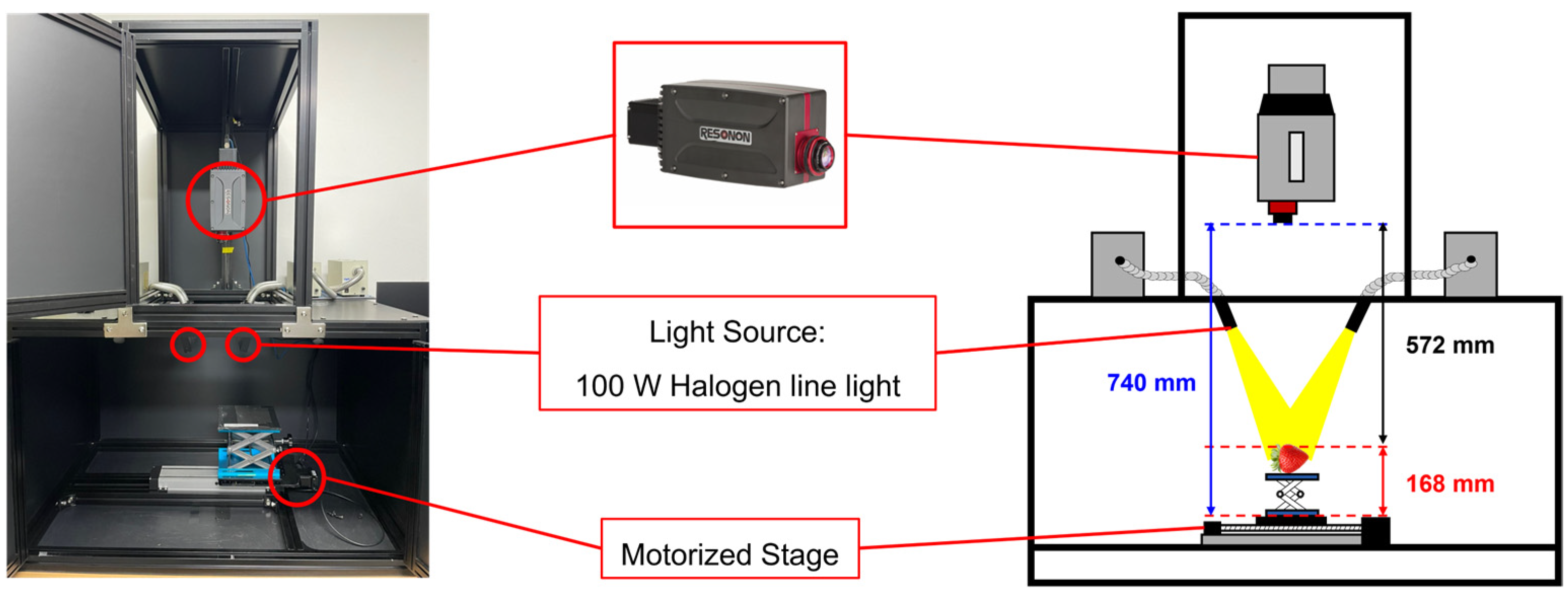 Region-Based Hyperspectral Imaging and Lightweight CNN Model for ...