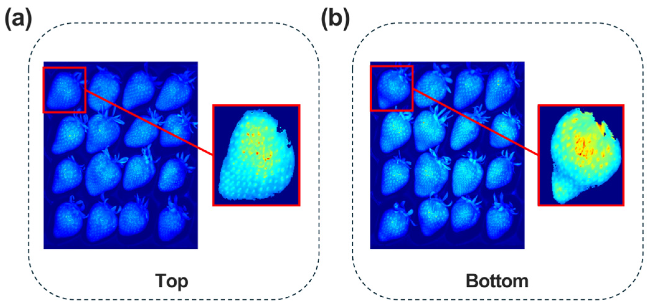 Region-Based Hyperspectral Imaging and Lightweight CNN Model for ...