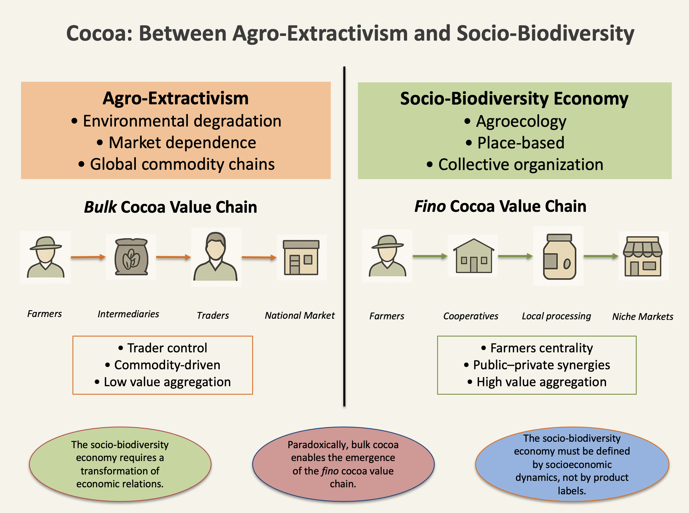 Cocoa Value Chains in the Brazilian Amazon: Between Agro-Extractivism ...