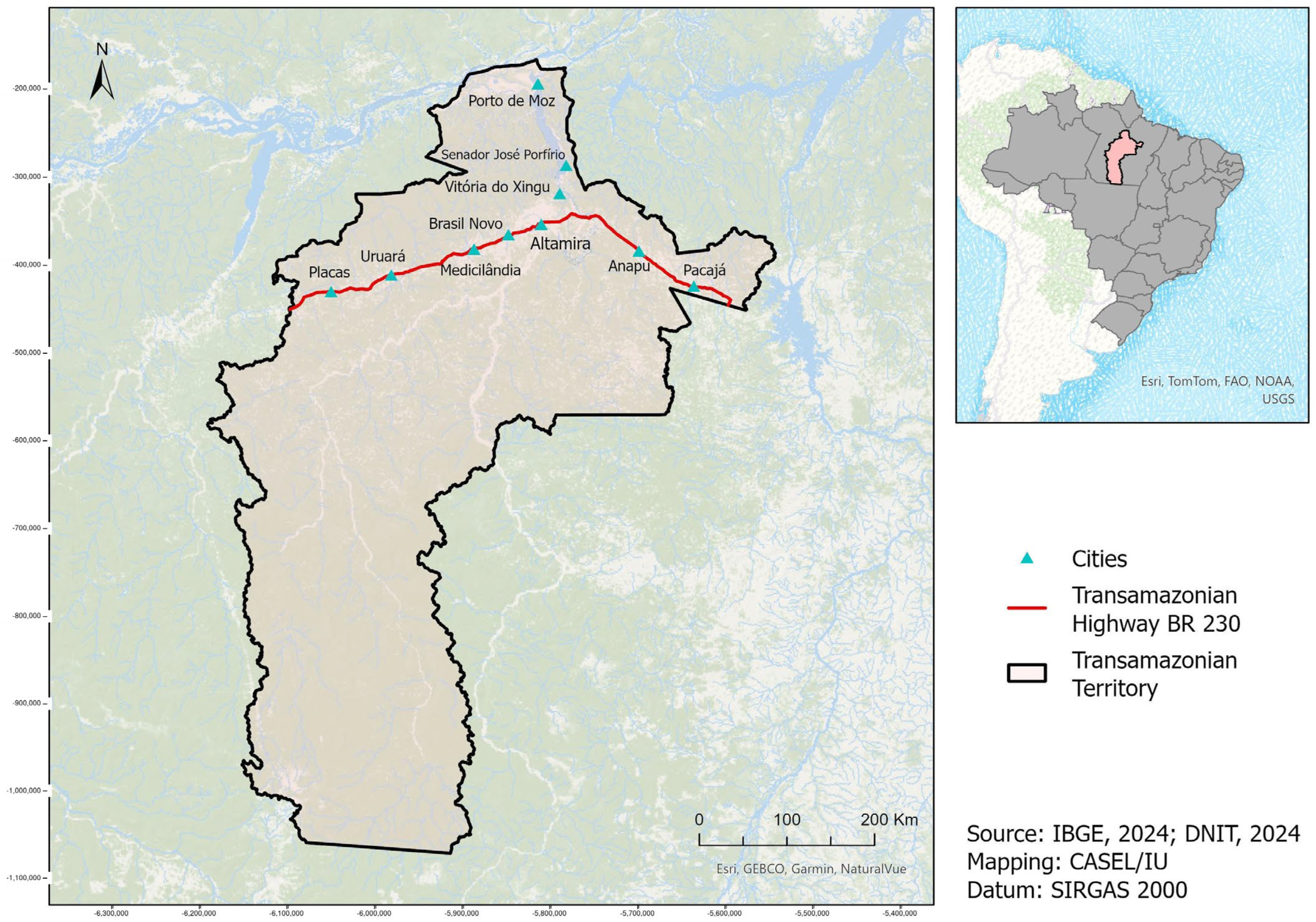 Cocoa Value Chains in the Brazilian Amazon: Between Agro-Extractivism ...