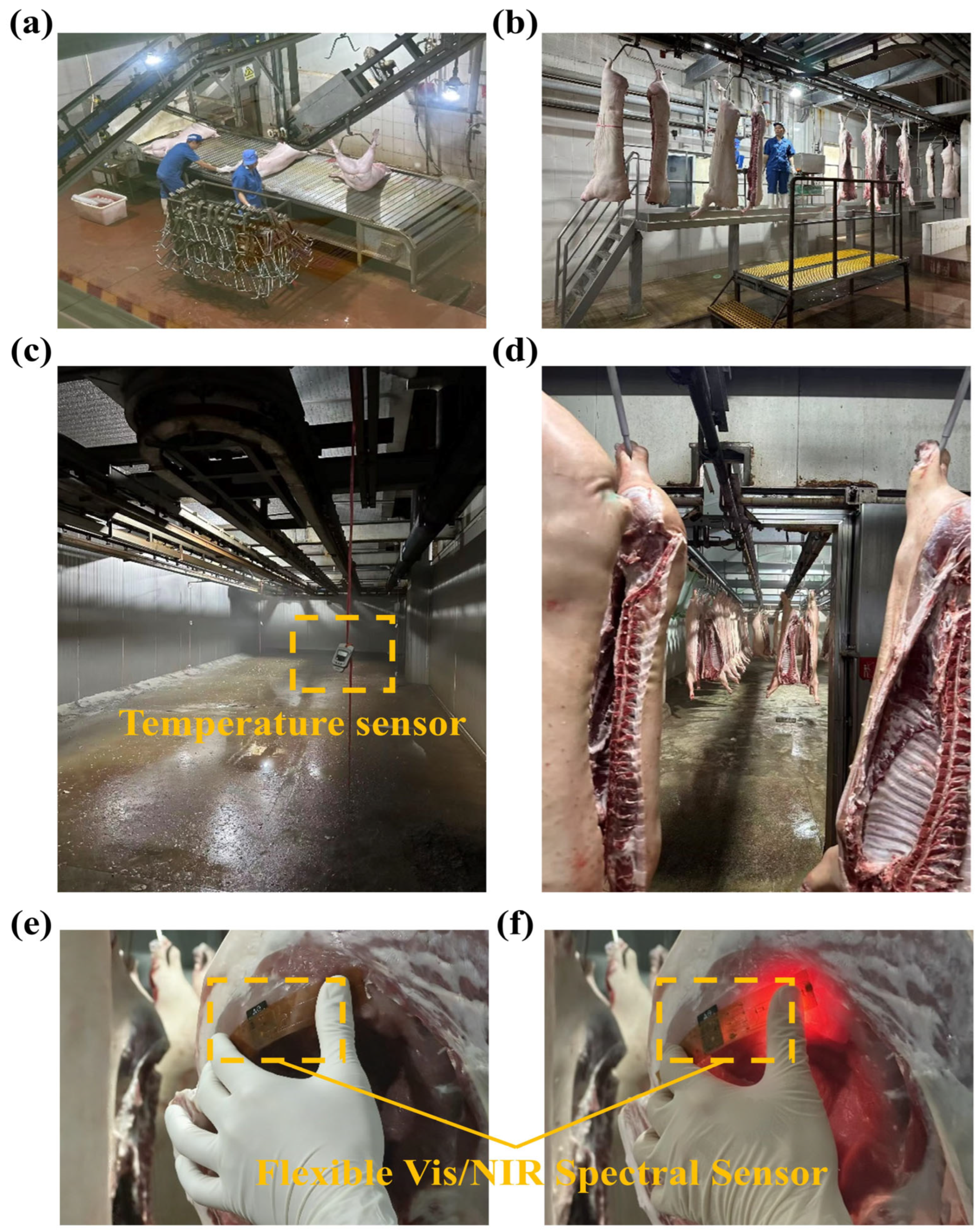 Flexible Vis/NIR Wireless Sensing and Estimation with DeepEnsemble ...