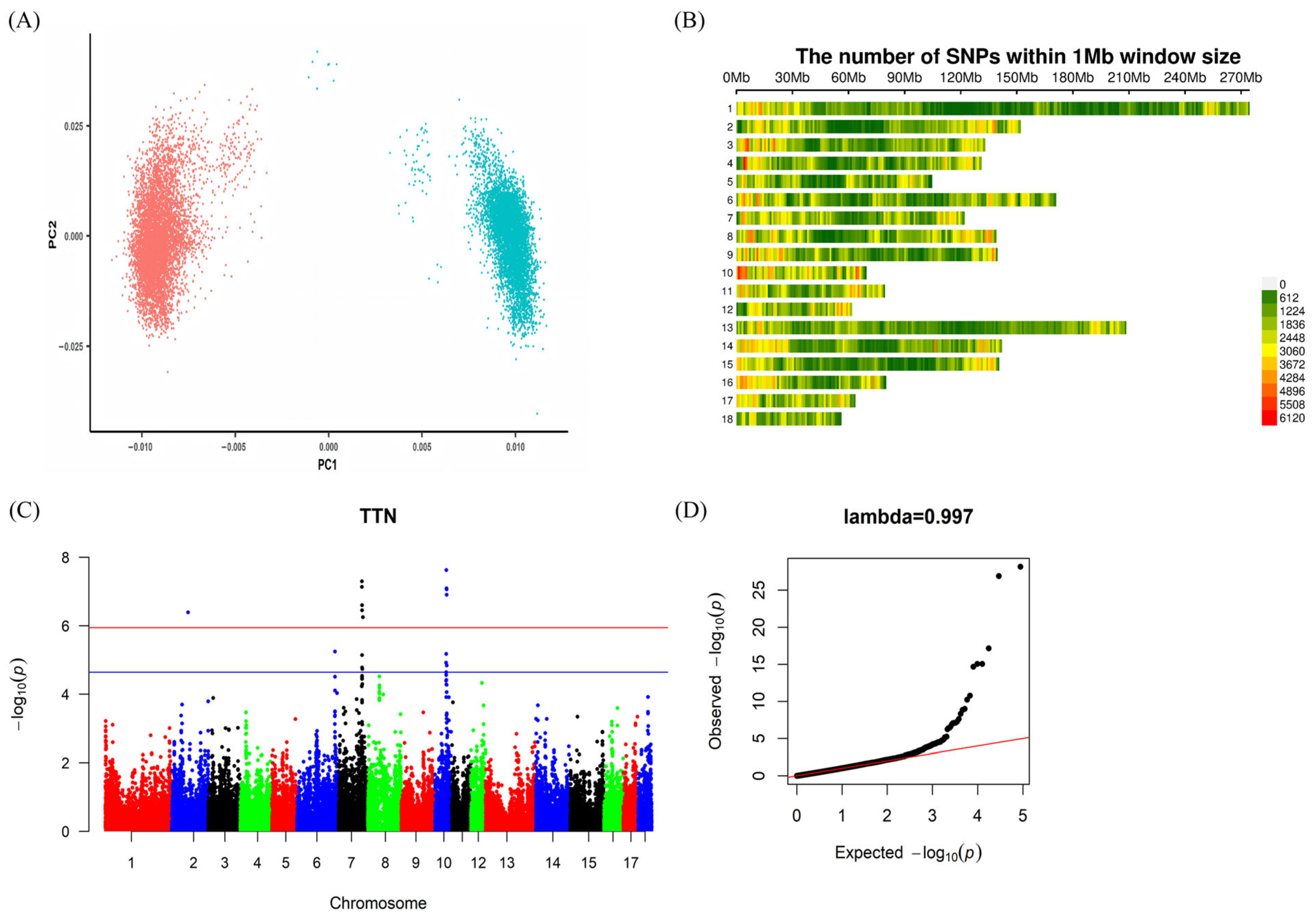 Combined-Population GWAS Identifies PROX2 as a Candidate Gene ...