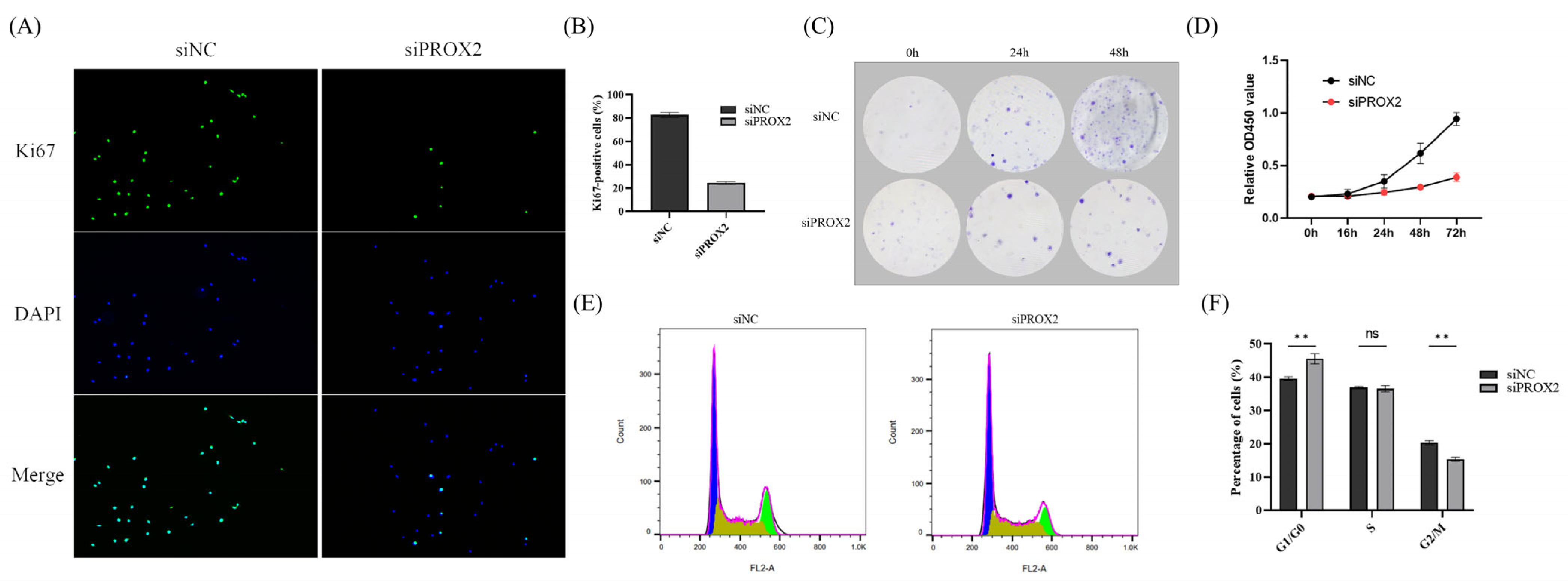 Combined-Population GWAS Identifies PROX2 as a Candidate Gene ...