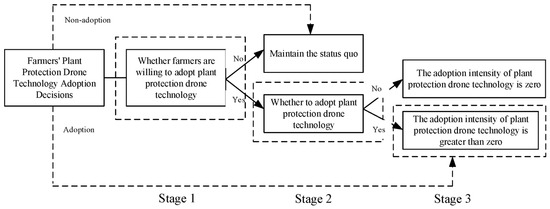 The Impact of Female Household Status on Decision-Making in Digital and ...