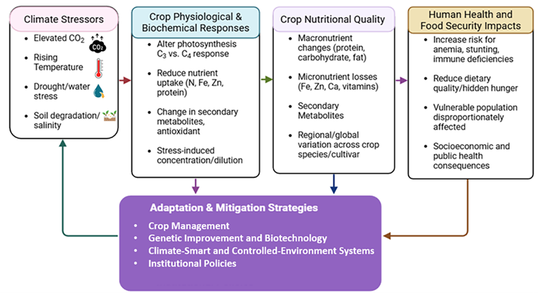 Climate Change and Food Nutritional Quality: A Global Synthesis of Crop ...