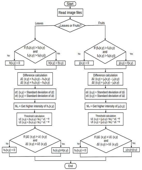 Segmentation of Leaves and Fruits of Tomato Plants by Color Dominance