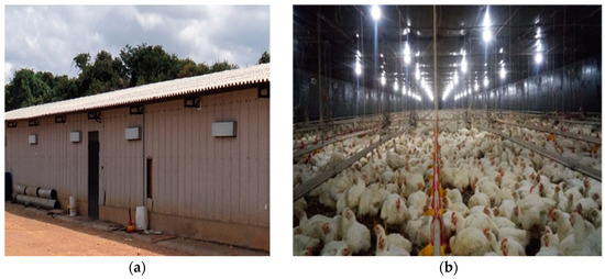 Dynamics of the Thermal Environment in Climate-Controlled Poultry ...