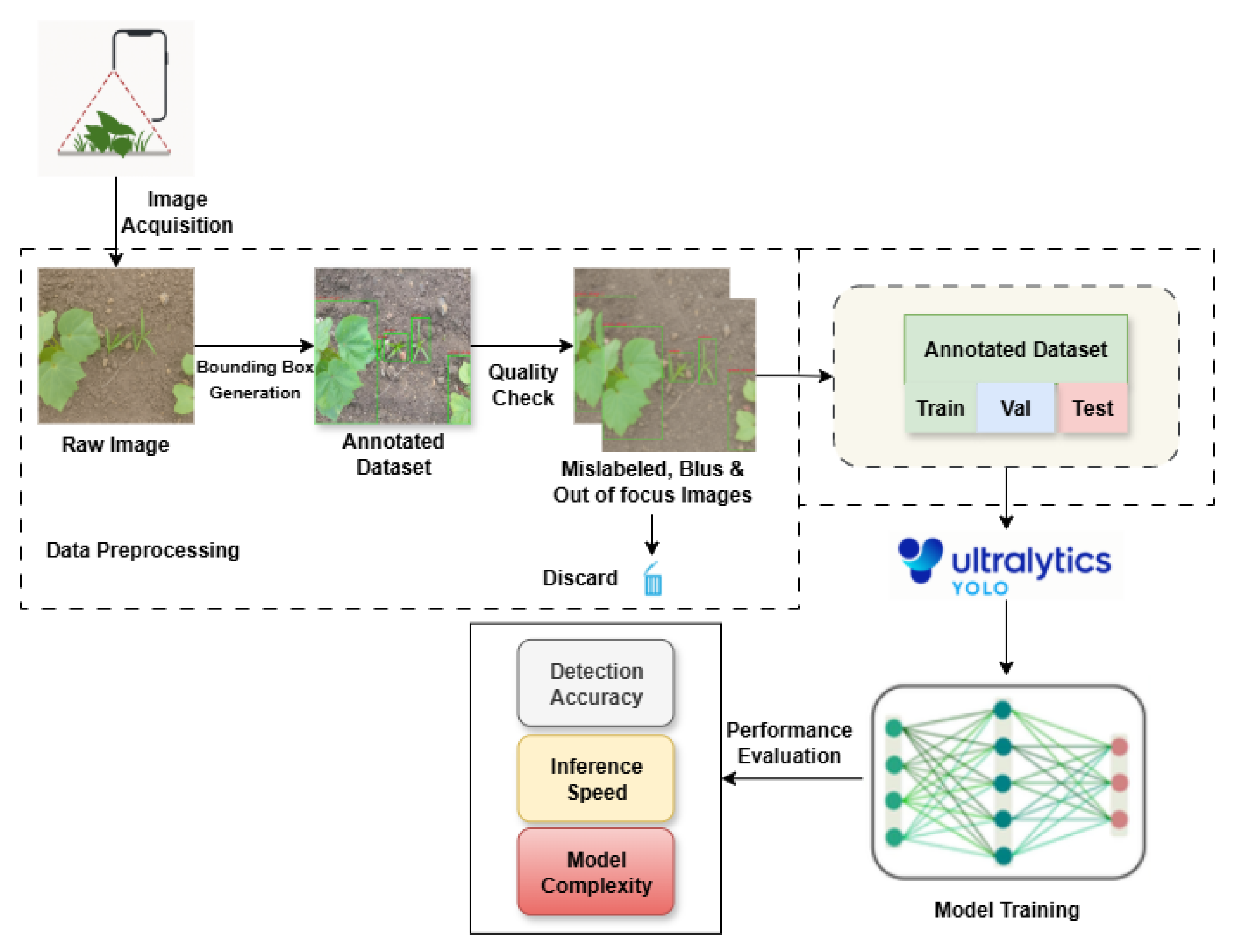 Benchmarking YOLO Models for Crop Growth and Weed Detection in Cotton Fields