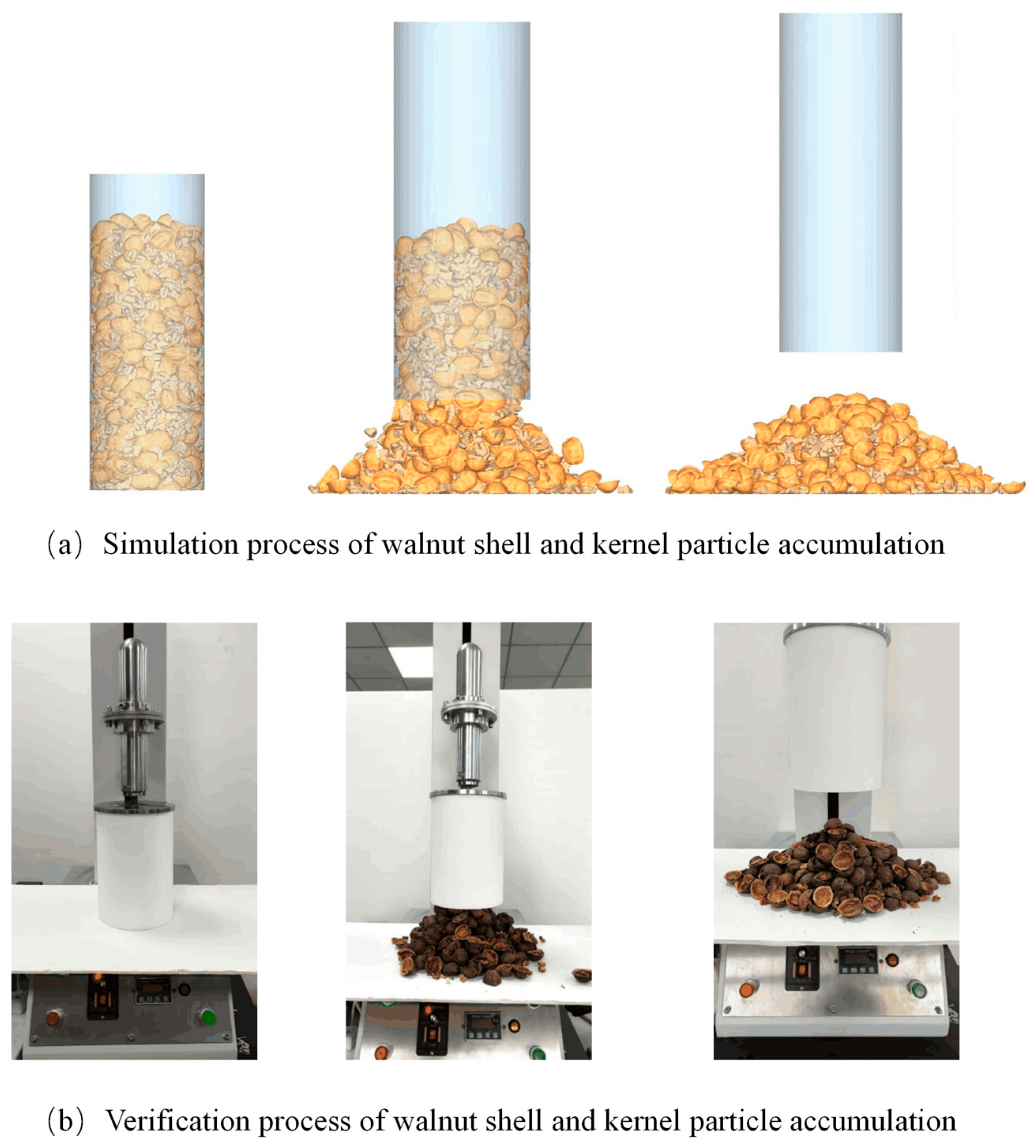 Study on the Separation Mechanism of Walnut Shell Kernels on Different Inclined Vibrating Screens
