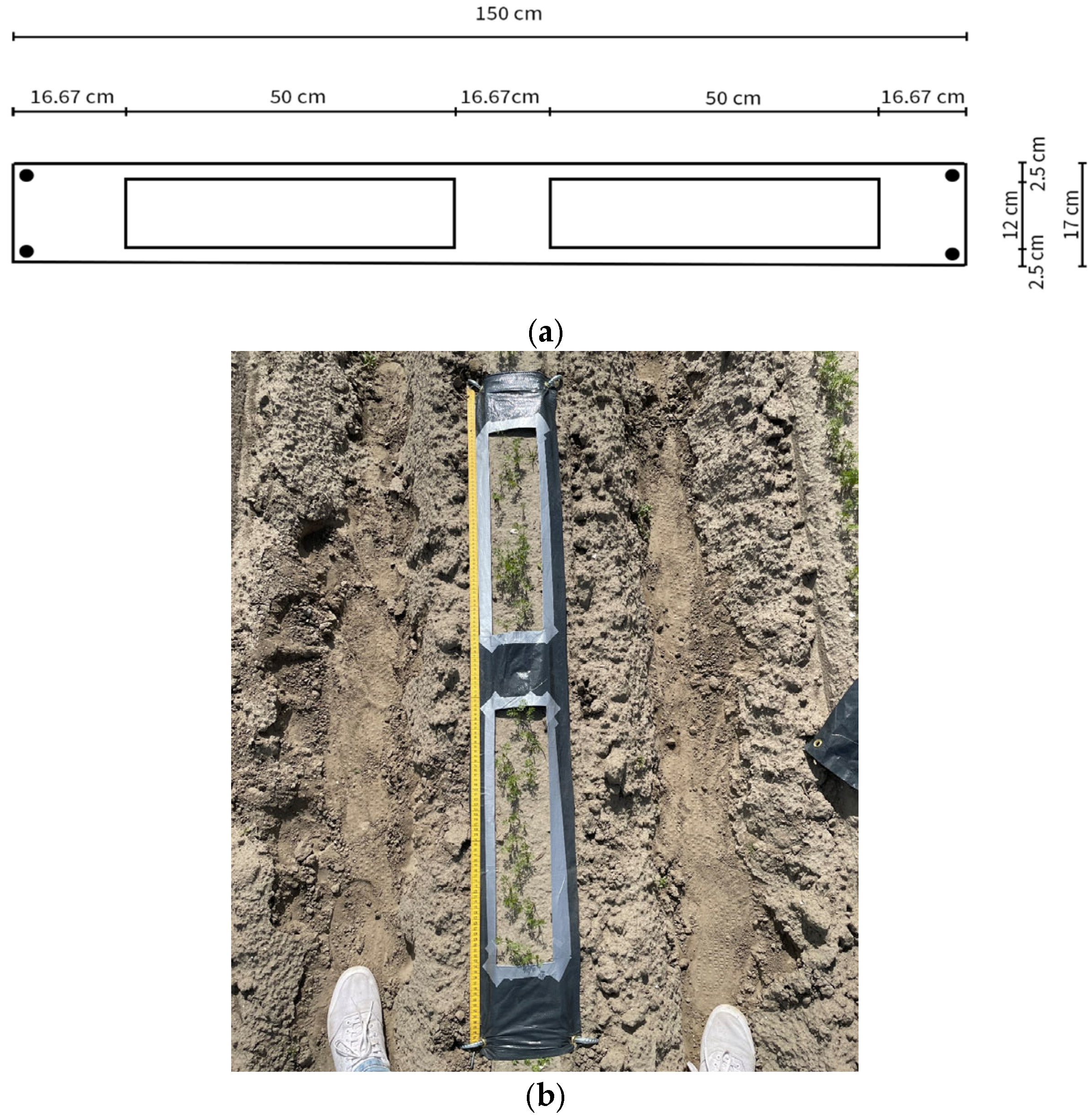 Field Validation of a Laser-Based Robotic System for Autonomous Weed ...