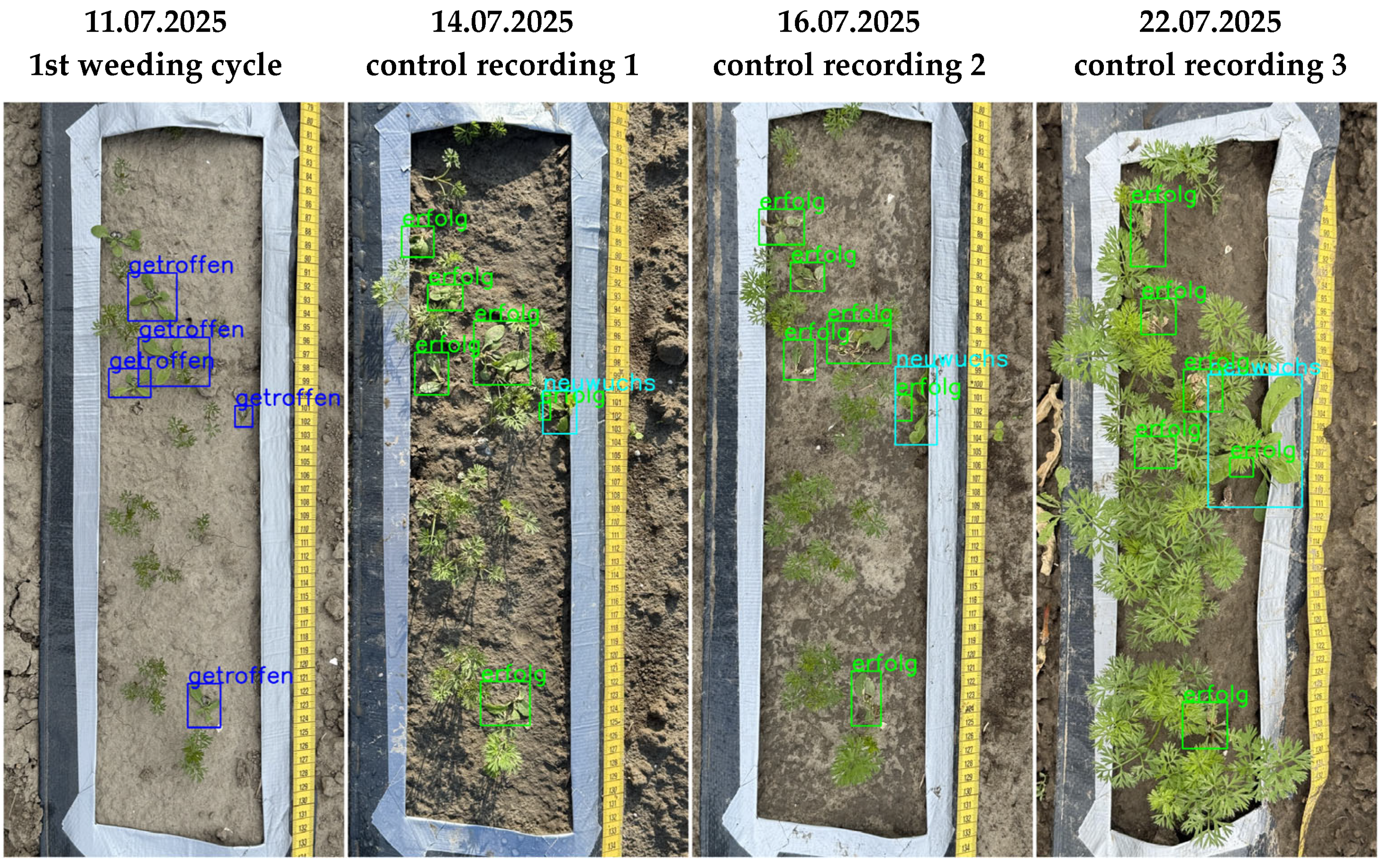 Field Validation of a Laser-Based Robotic System for Autonomous Weed ...