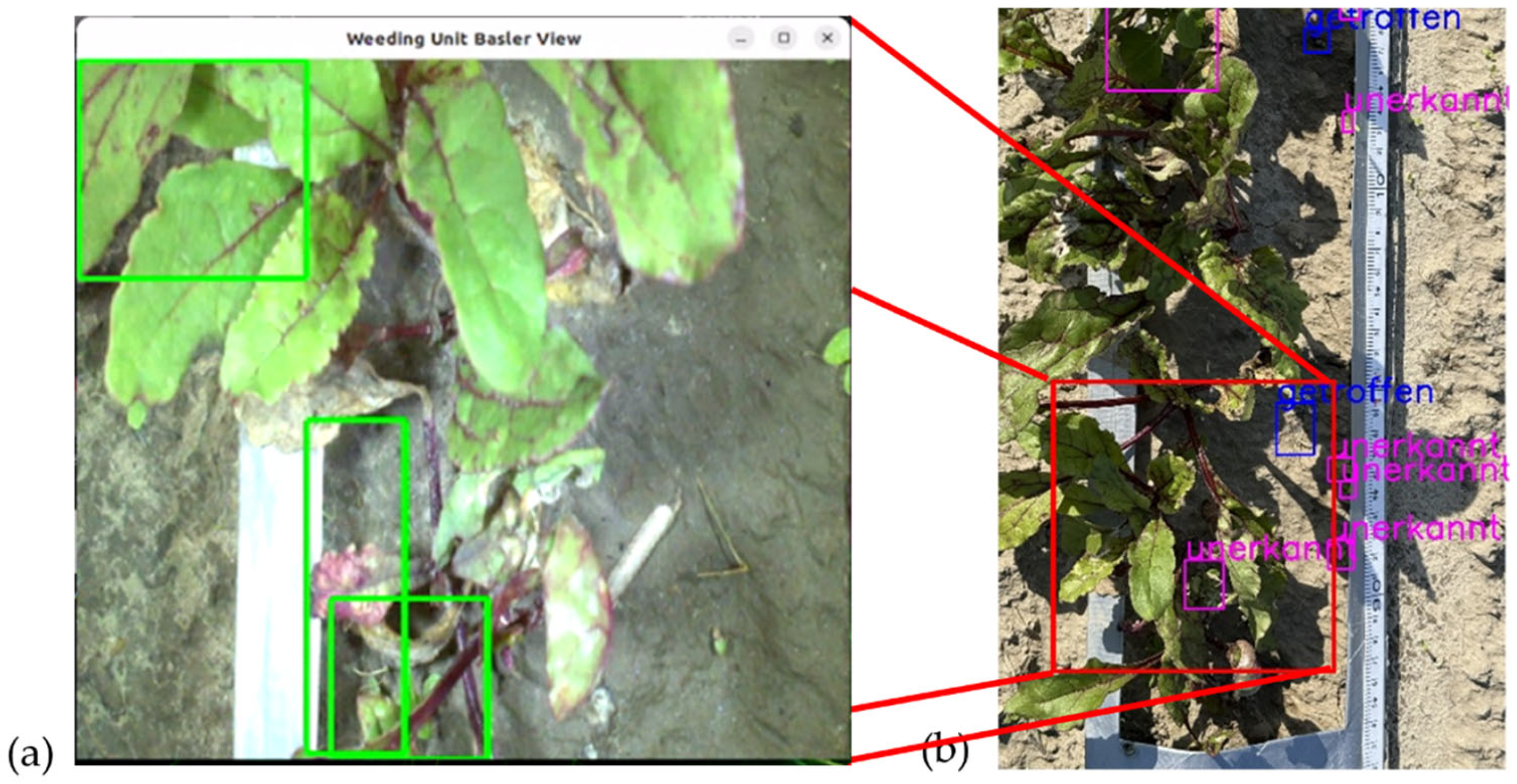 Field Validation of a Laser-Based Robotic System for Autonomous Weed ...