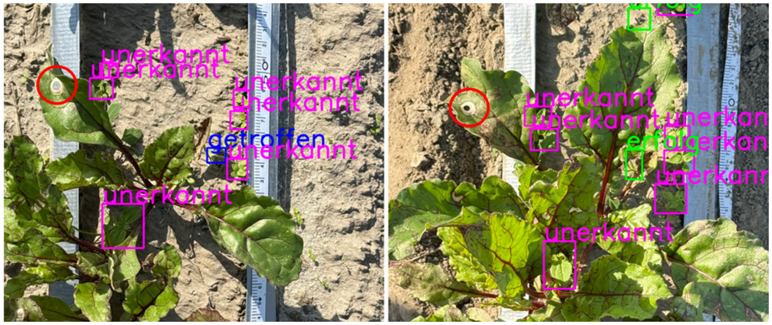 Field Validation of a Laser-Based Robotic System for Autonomous Weed ...