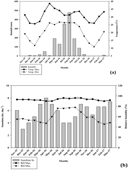 Supplementing Nitrogen in Combination with Rhizobium Inoculation and ...