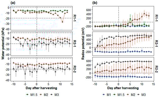 Effects of the Double-Cutting Method for Ratooning Rice in the SALIBU ...