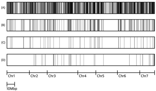 Development of SNP Marker Sets for Marker-Assisted Background Selection ...