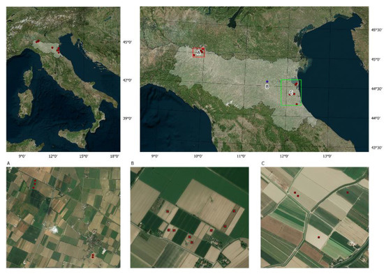 Rtm Inversion Through Predictive Equations For Multi Crop Lai Retrieval Using Sentinel 2 Images