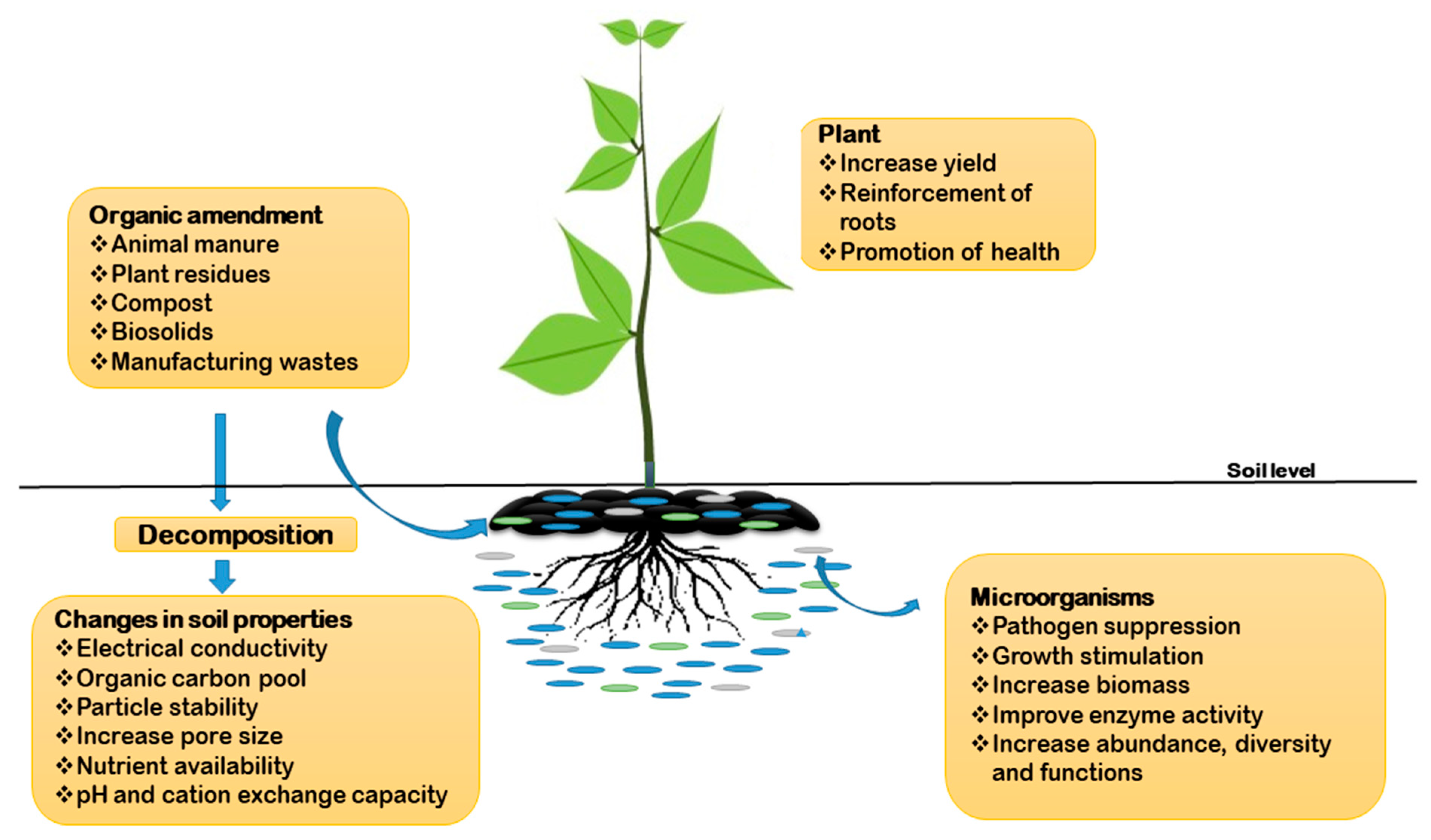 Agronomy Free Full Text Harnessing The Rhizosphere Soil Microbiome Agronomy Free Full Text Harnessing The Rhizosphere Soil Microbiome