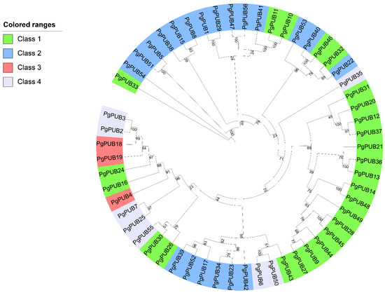 Genome-Wide Identification, Characterization, and Expression Analysis ...