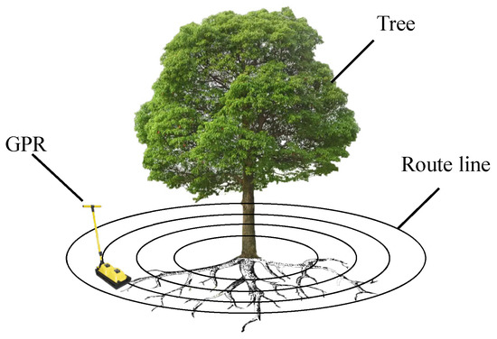 Root Location and Root Diameter Estimation of Trees Based on Deep ...