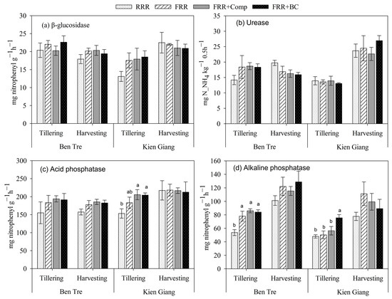 Effects of Rice Husk Biochar and Compost Amendments on Soil Phosphorus ...
