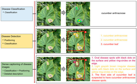 Agronomy | Free Full-Text | Veg-DenseCap: Dense Captioning Model for ...