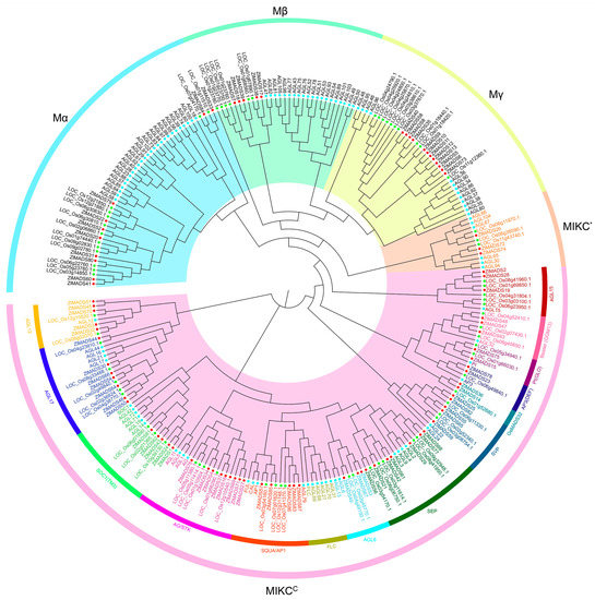 Genome-Wide Identification, Classification and Expression Analyses of ...