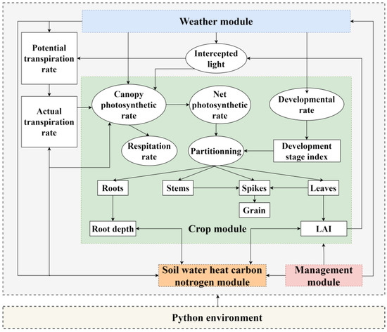 Agronomy | Free Full-Text | WheatSM V5.0: A Python-Based Wheat Growth ...