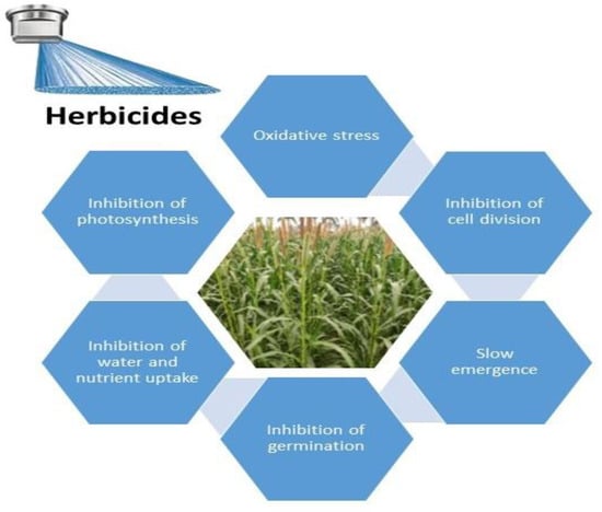 Challenges and Alternatives of Herbicide-Based Weed Management