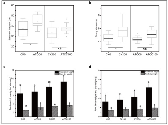 Effects of Bacillus subtilis on Rose Growth Promotion and Rhizosphere ...